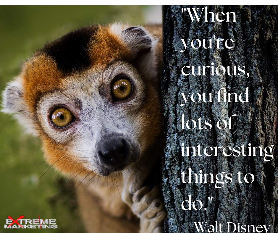 “When you’re curious, you find lots of interesting things to do.” -Walt ...
